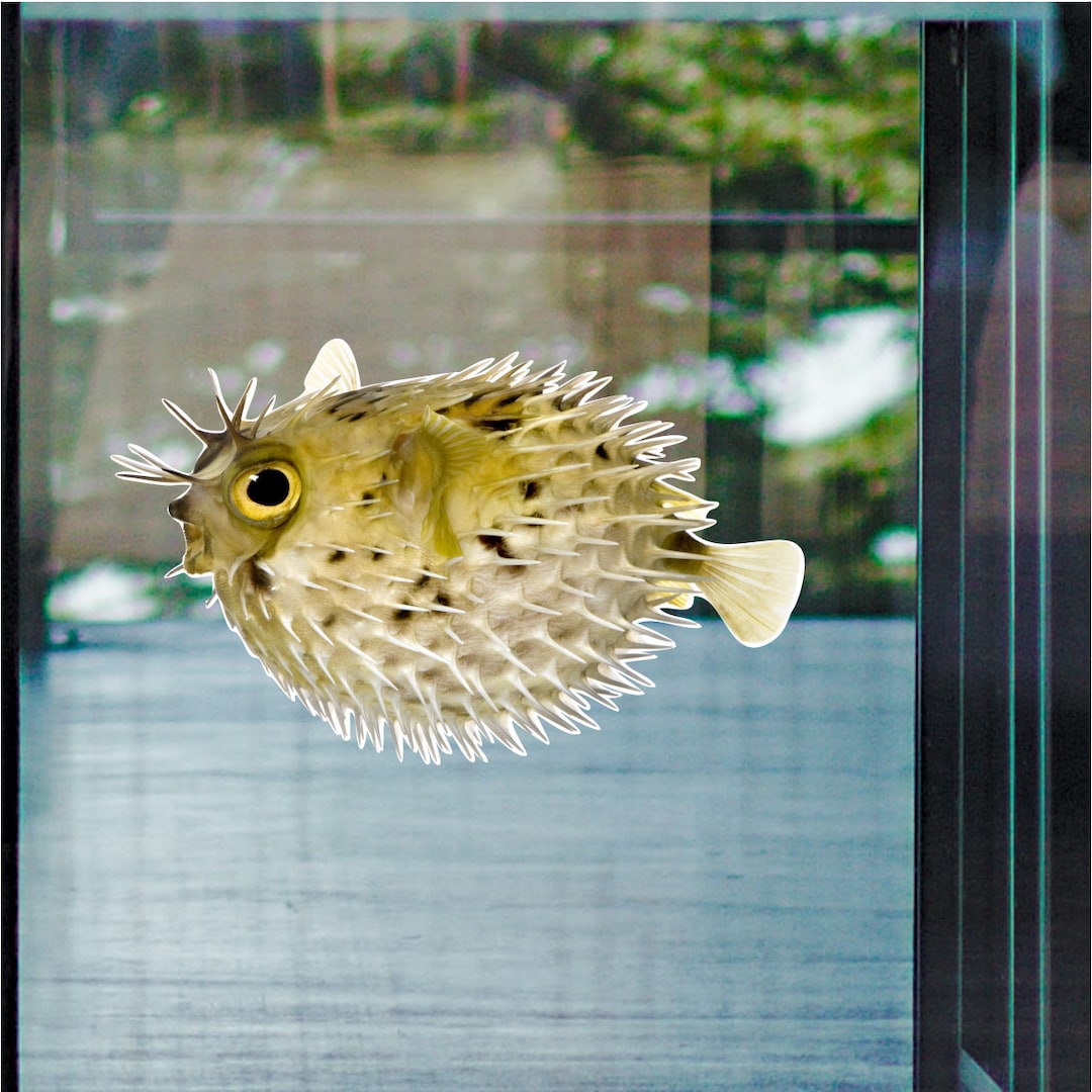 Pufferfish - Vinyl Static Full Color Cling - Etsy