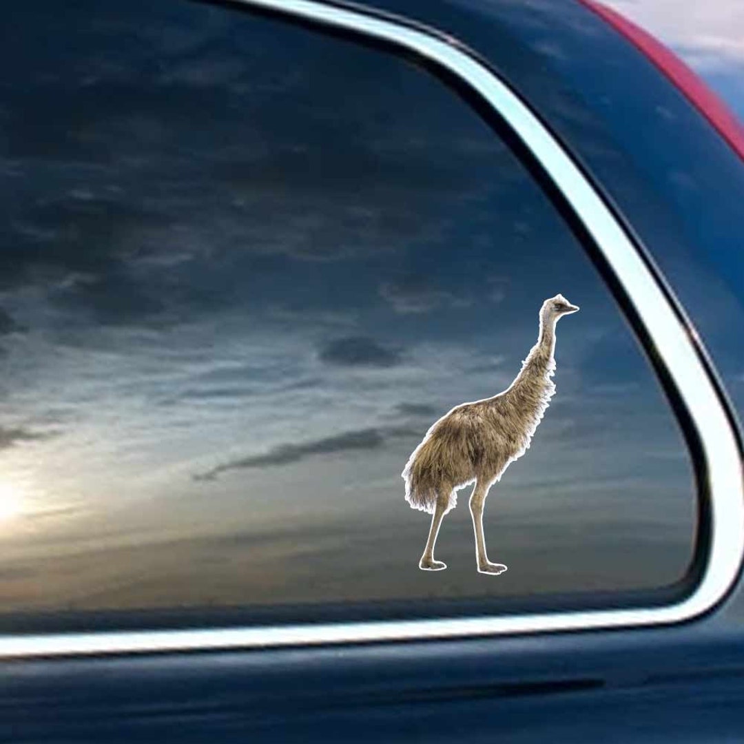Inquisitive Emu - Vinyl Decal for Laptop, Windows, Glass and Cars ...