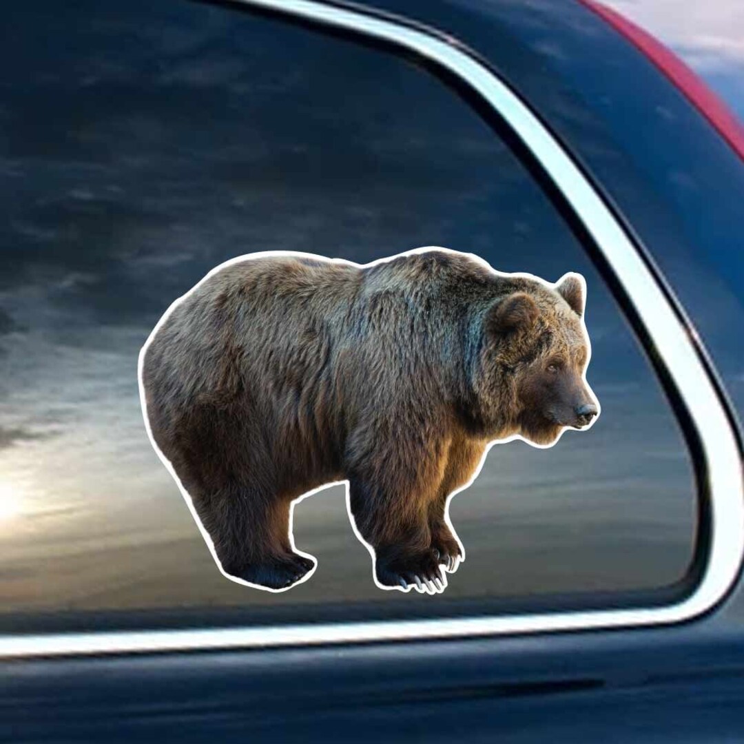 Brown Bear Standing - Vinyl Decal for Laptop, Windows, Glass and Cars ...