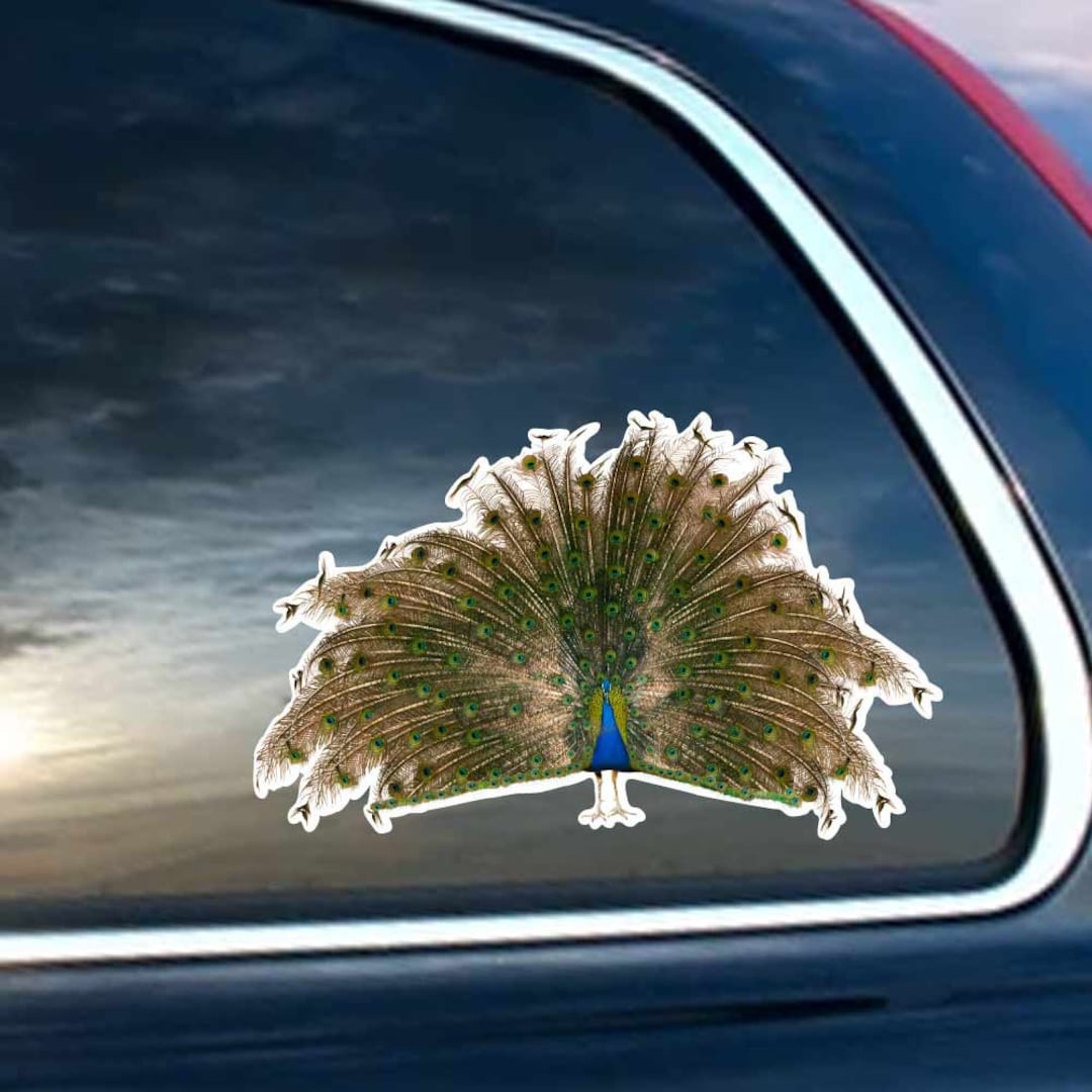 Peacock Tail Spread - Vinyl Decal for Laptop, Windows, Glass and Cars ...
