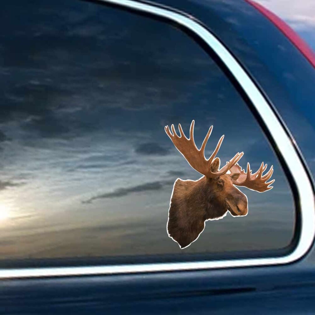 Moose - Vinyl Decal for Laptop, Windows, Glass and Cars Sticker - Etsy