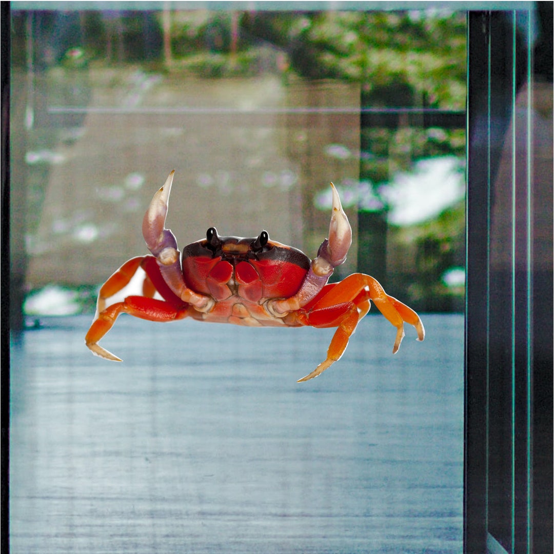 Red Land Crab - Vinyl Static Full Color Cling - Etsy