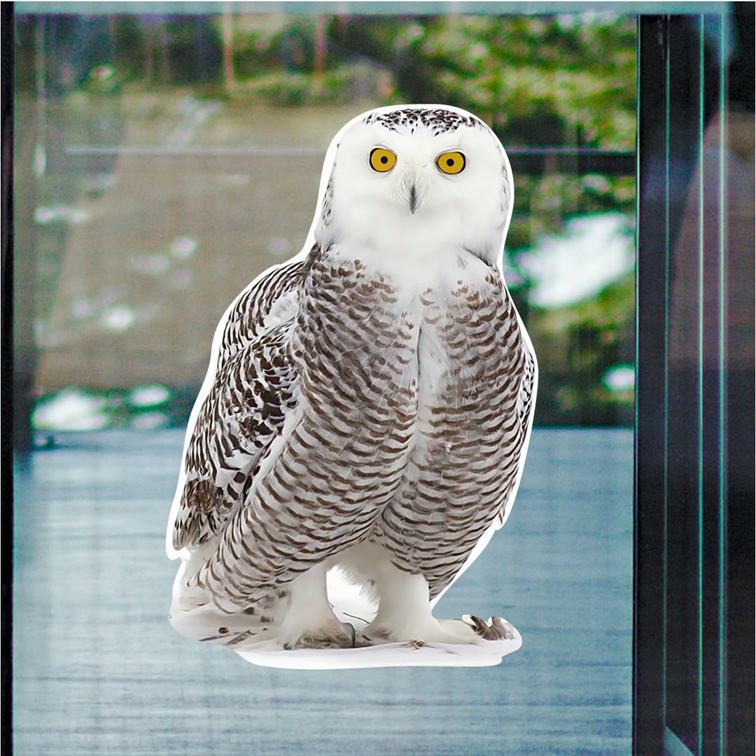 Snow Owl in Snow - Vinyl Static Full Color Cling - Etsy