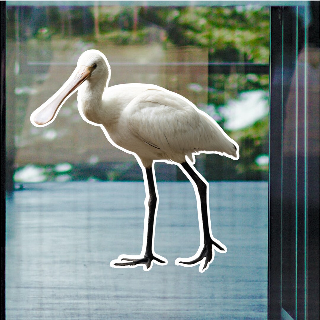 Spoonbill - Vinyl Static Full Color Cling - Etsy