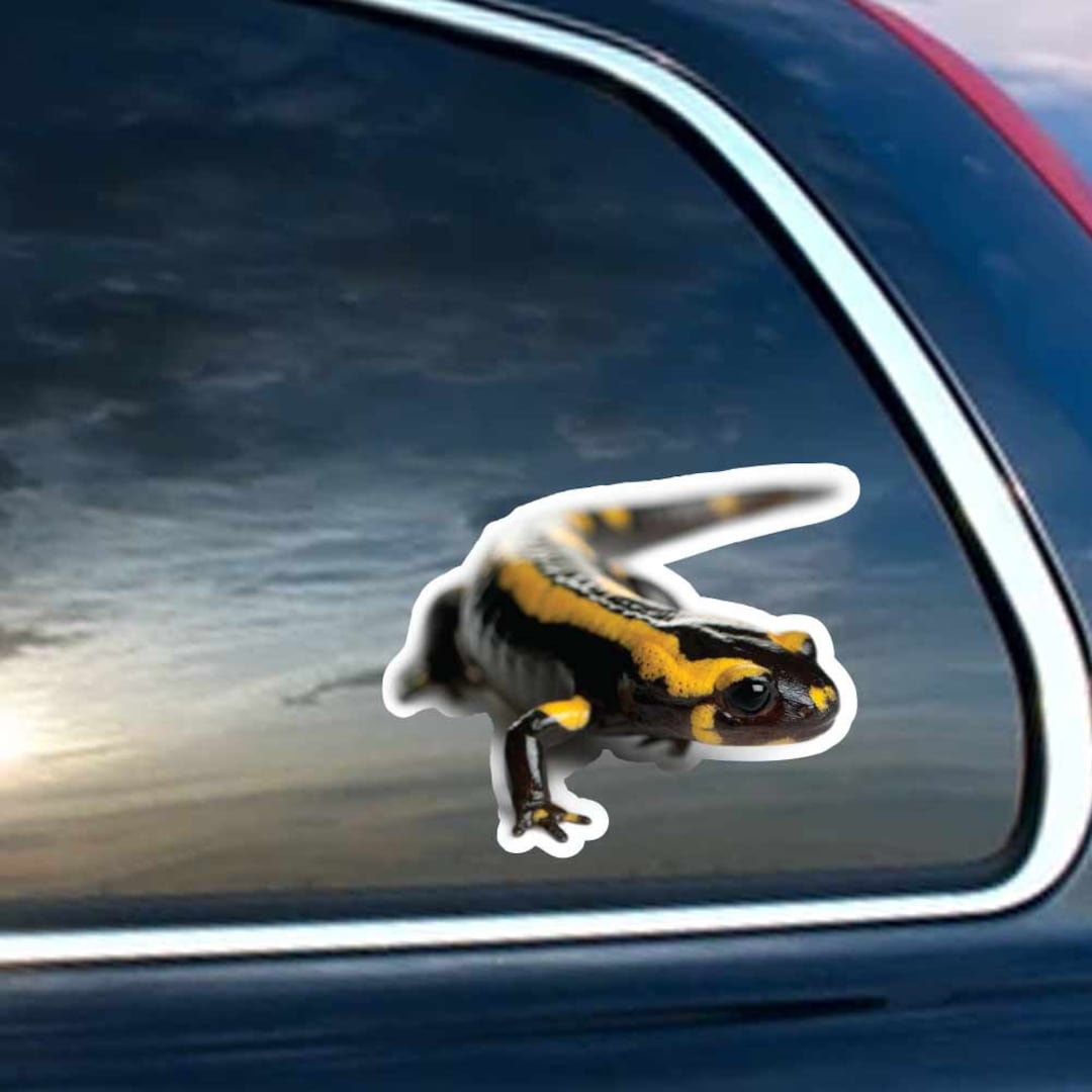 Fire Salamander - Vinyl Decal for Laptop, Windows, Glass and Cars ...