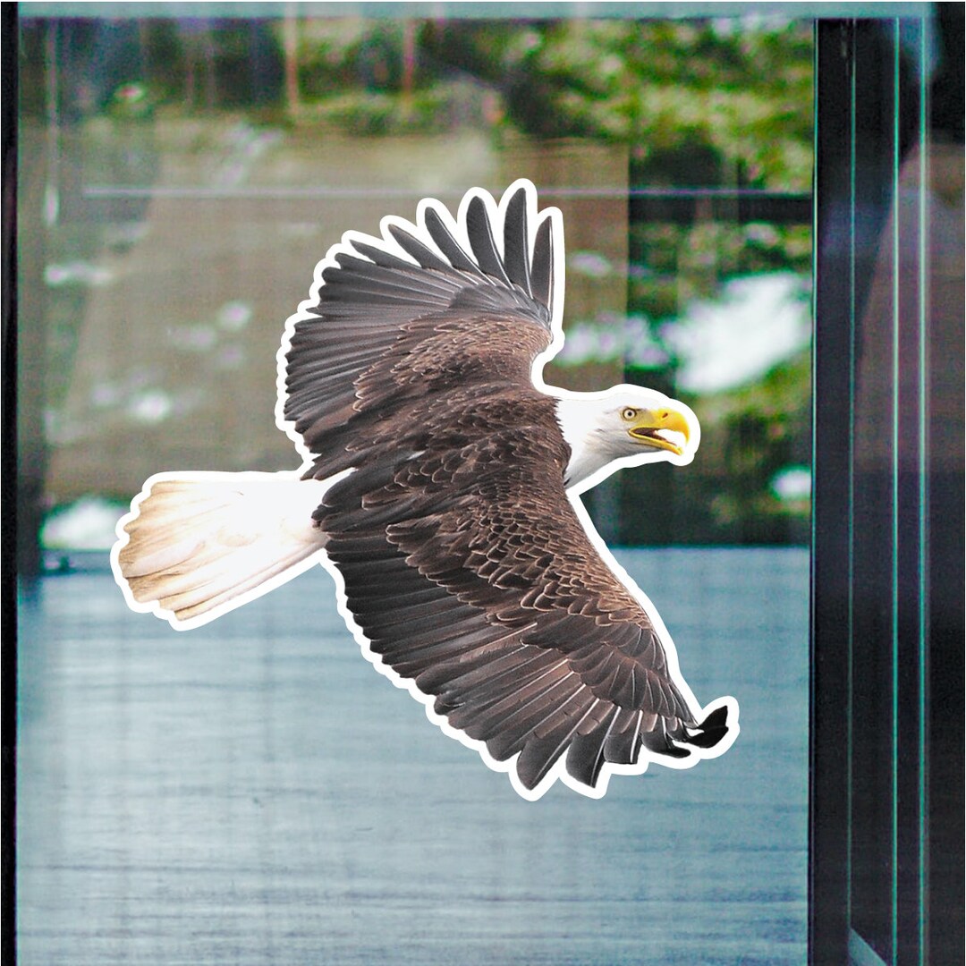 Bald Eagle Curled Wing Tip - Vinyl Static Full Color Cling - Etsy