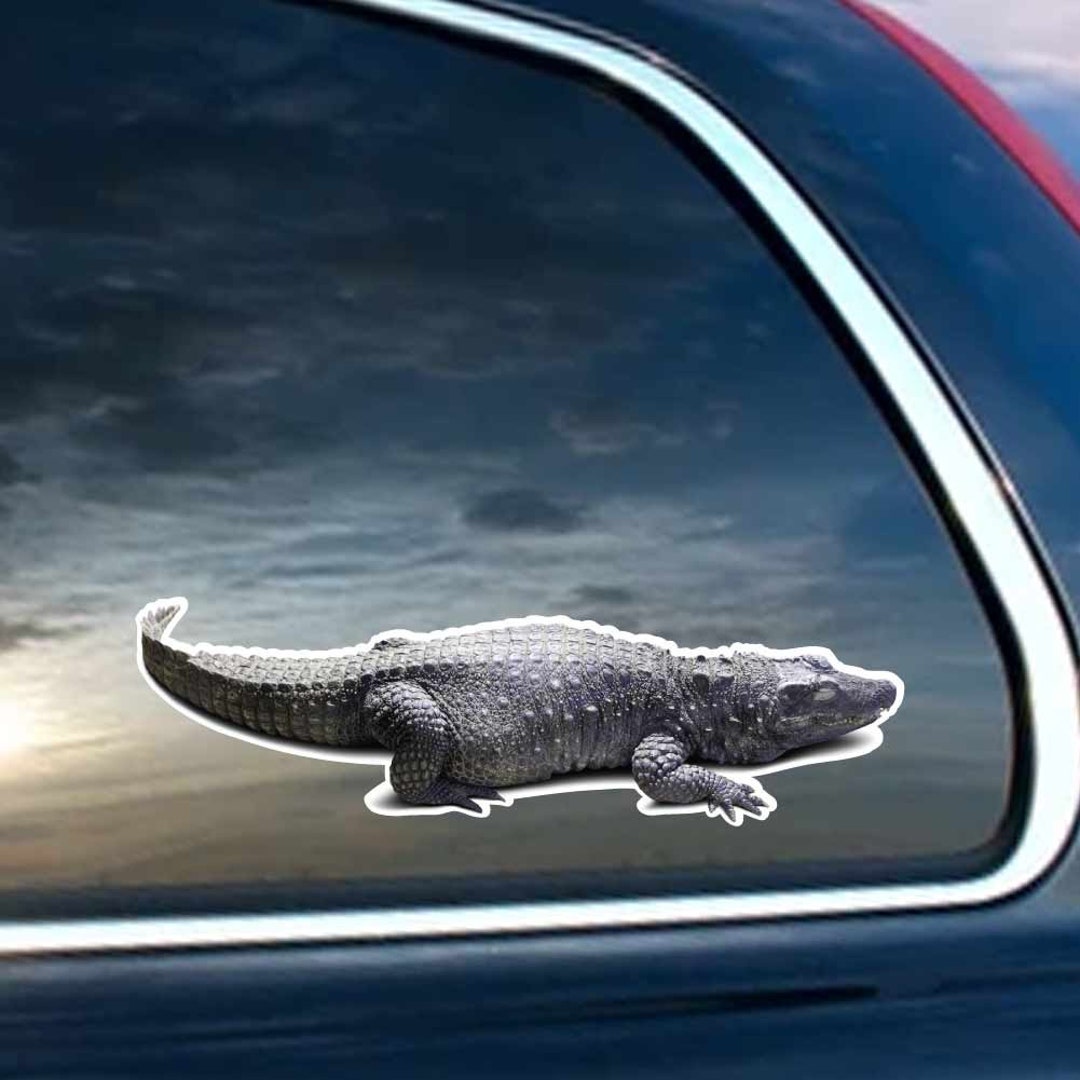 Crocodile - Vinyl Decal for Laptop, Windows, Glass and Cars Sticker - Etsy