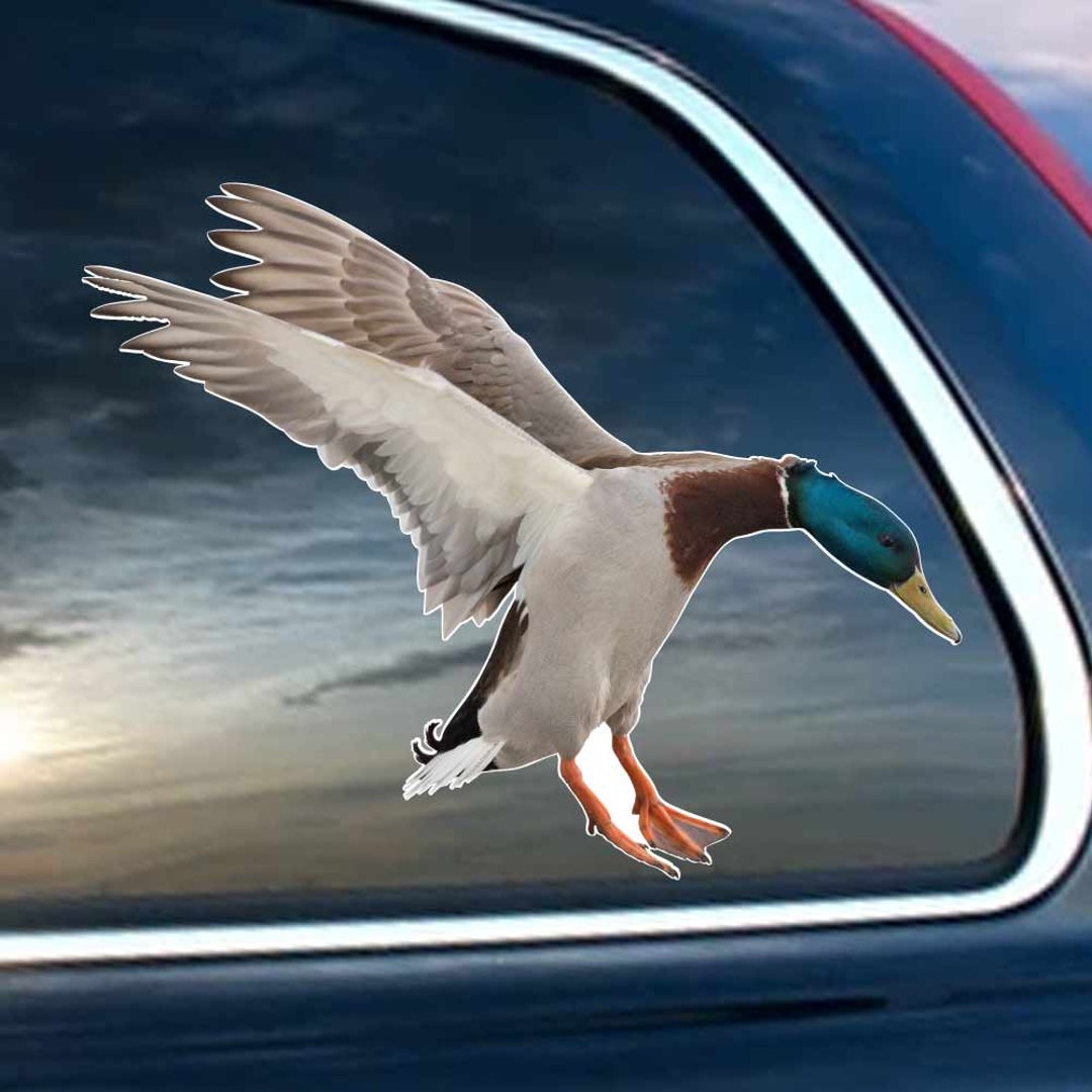 Flying Mallard Duck Male - Vinyl Decal for Laptop, Windows, Glass and ...