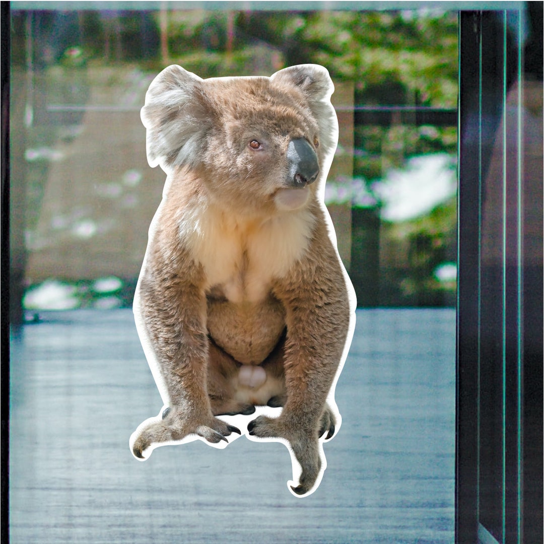 Sitting Koala - Vinyl Static Full Color Cling - Etsy