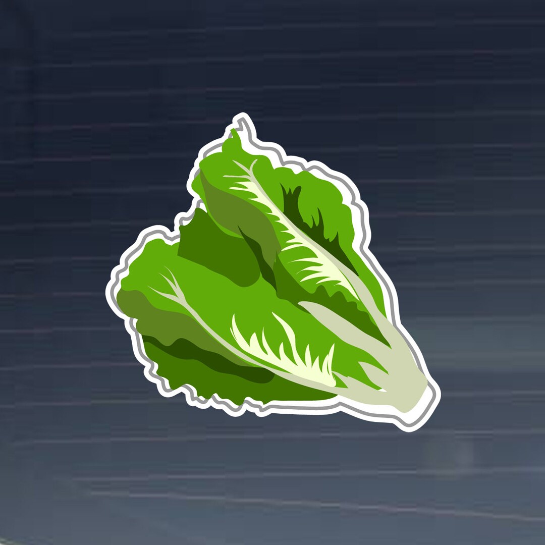 Lettuce Vegetable Full Color - Vinyl Decal for Laptop, Windows, Glass ...