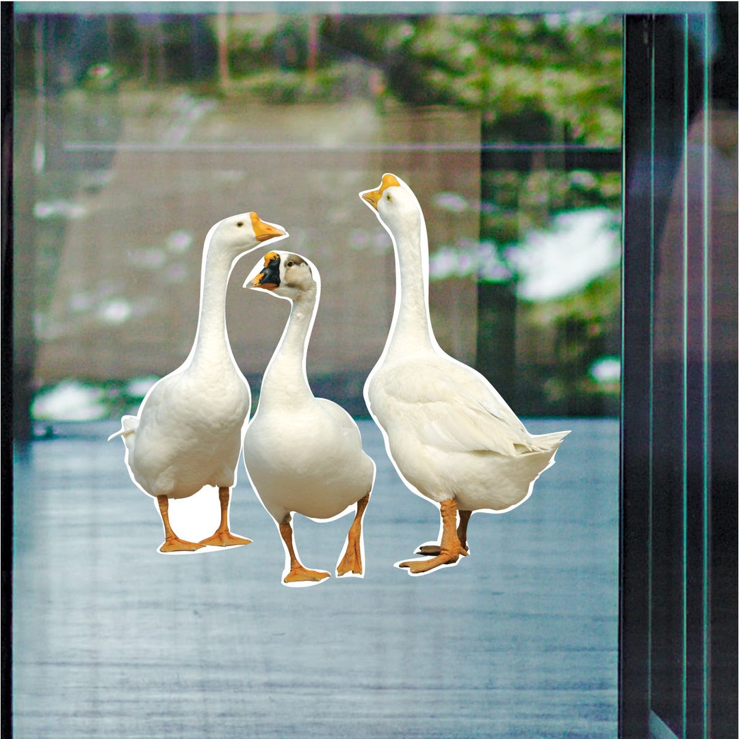 Three Mean Geese - Vinyl Static Full Color Cling - Etsy