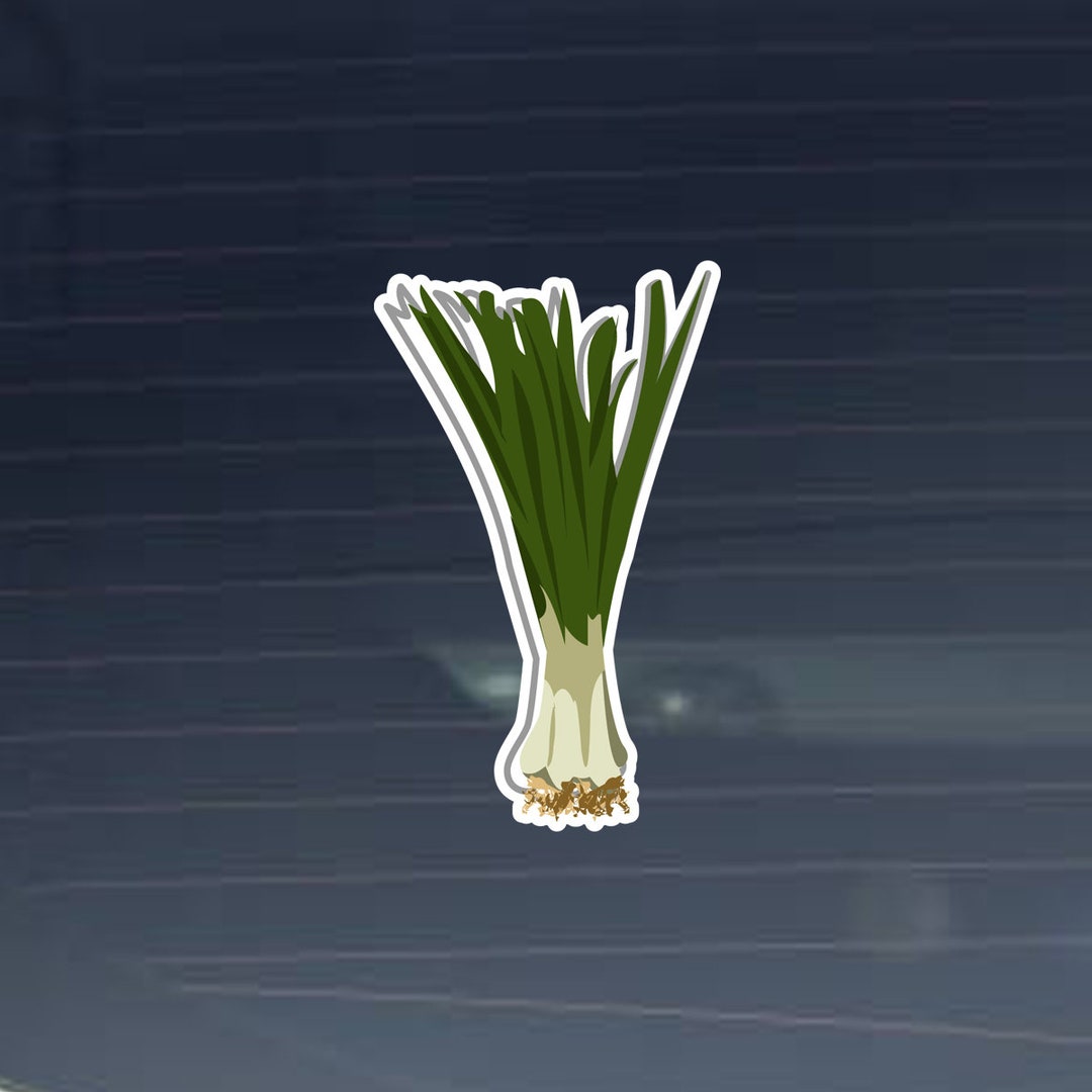 Spring Onion Vegetable Full Color - Vinyl Decal for Laptop, Windows ...