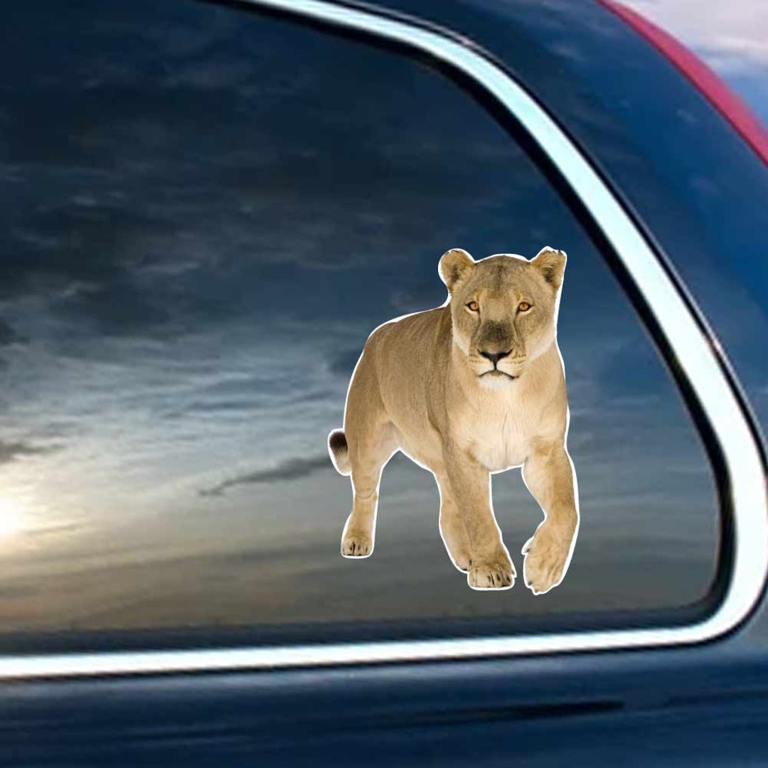 Lioness Prowling - Vinyl Decal for Laptop, Windows, Glass and Cars ...