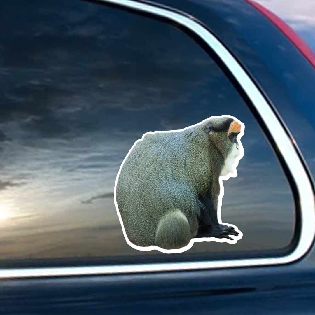 Debrazzas Monkey - Vinyl Decal for Laptop, Windows, Glass and Cars ...