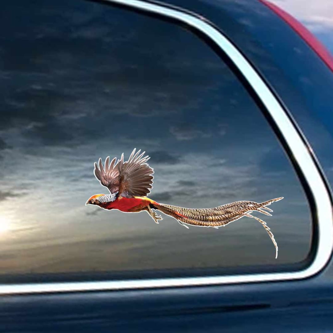 Flying Gold Pheasant- Vinyl Decal for Laptop, Windows, Glass and Cars ...