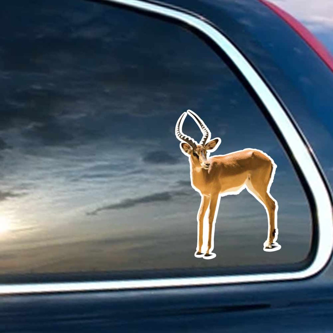 Gazelle - Vinyl Decal for Laptop, Windows, Glass and Cars Sticker - Etsy