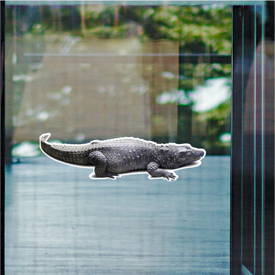 Crocodile - Vinyl Static Full Color Cling - Etsy