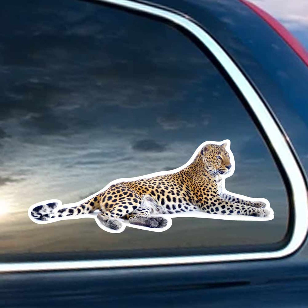 Leopard Laying - Vinyl Decal for Laptop, Windows, Glass and Cars ...