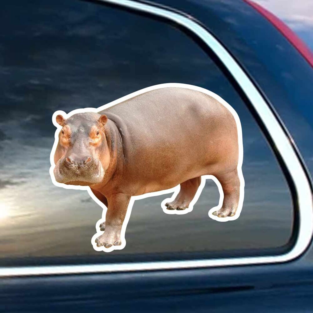 African Hippo - Vinyl Decal for Laptop, Windows, Glass and Cars Sticker ...