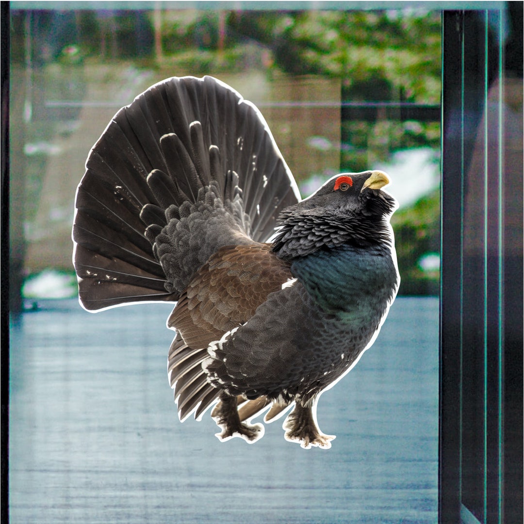 Wood Grouse - Vinyl Static Full Color Cling - Etsy