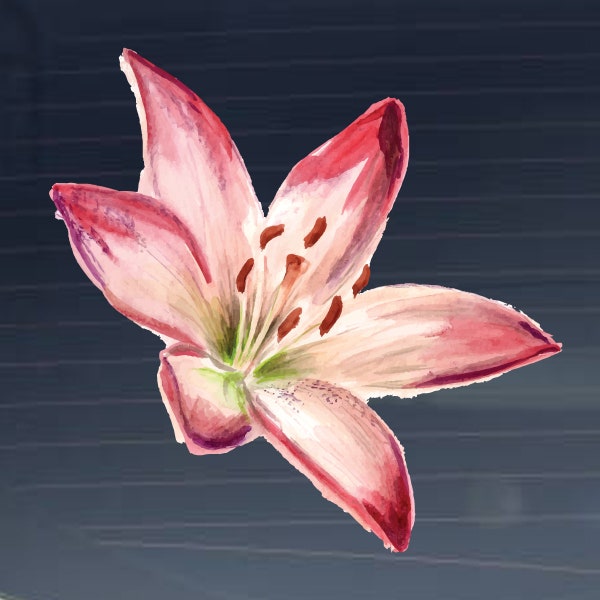 Stargazer Lily Car Decal - Etsy
