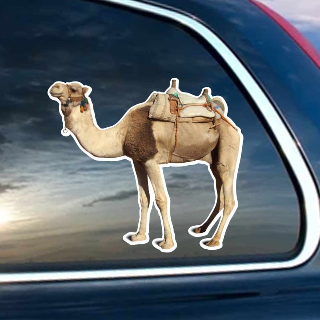 Camel With Saddle - Vinyl Decal for Laptop, Windows, Glass and Cars ...