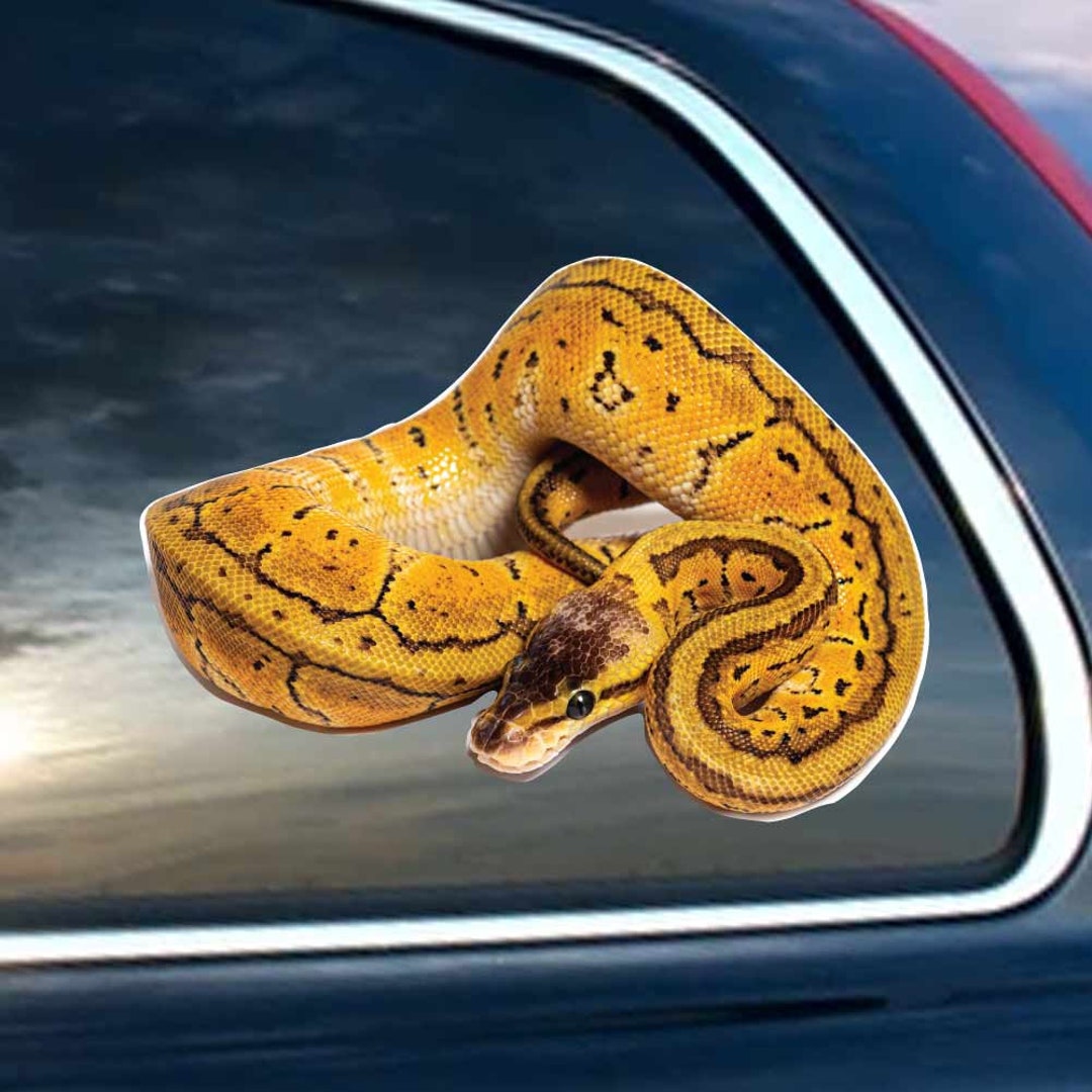 Lemon Blast Boa - Vinyl Decal for Laptop, Windows, Glass and Cars ...