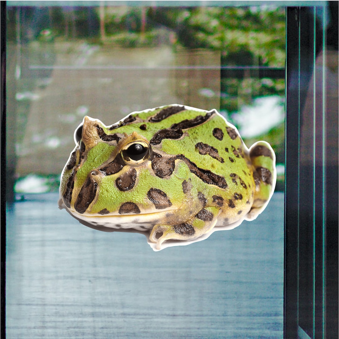 Pacman Frog Side - Vinyl Static Full Color Cling - Etsy