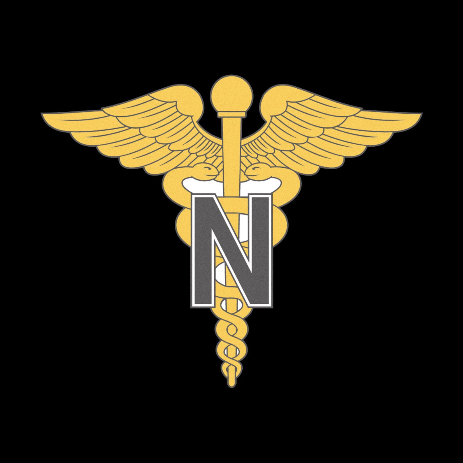 US Army Division Nurse Corps Emblem Reflective Indoor | Etsy