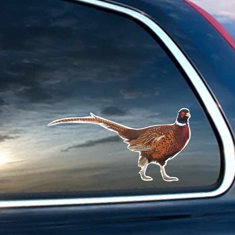 Pheasant - Vinyl Decal for Laptop, Windows, Glass and Cars Sticker - Etsy