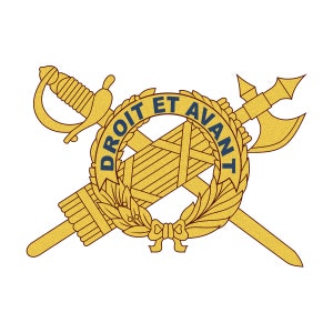 US Army Division - Inspector General Emblem Gold Reflective Indoor ...