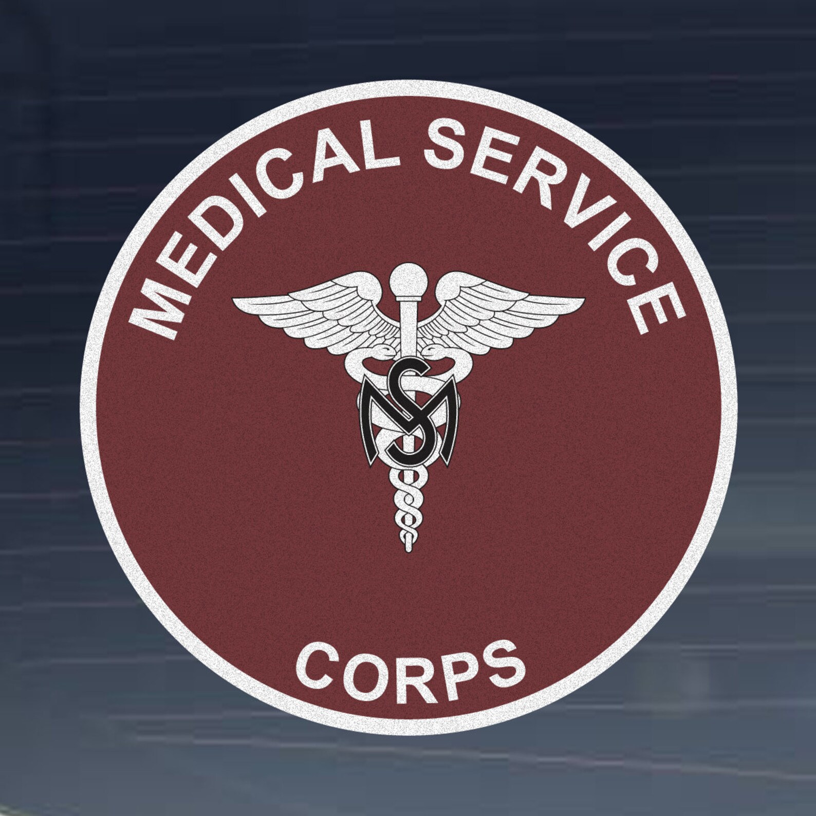 US Army Division Medical Service Corps Plaque Reflective Indoor Outdoor ...