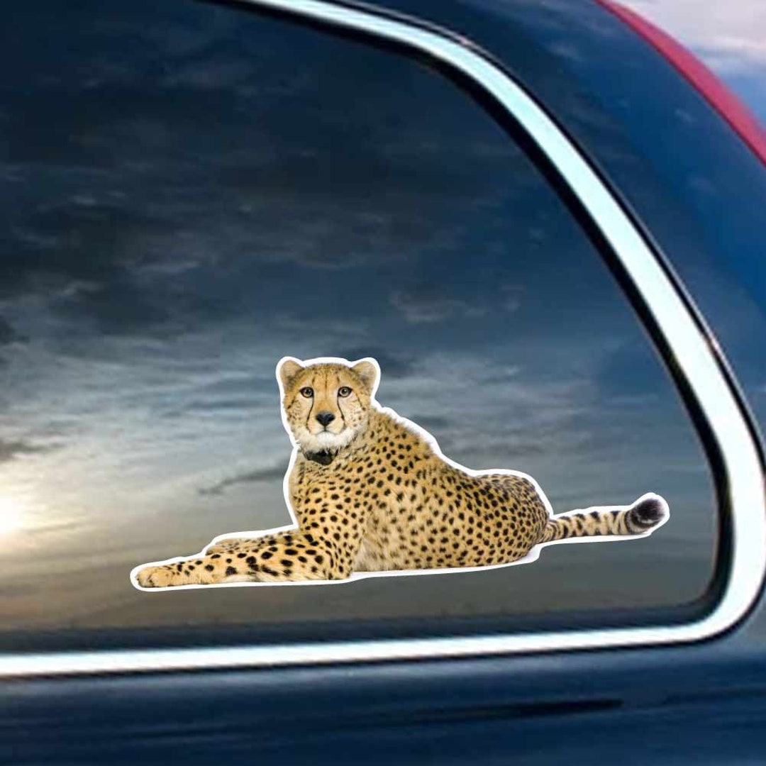 Collared Laying Cheetah - Vinyl Decal for Laptop, Windows, Glass and ...