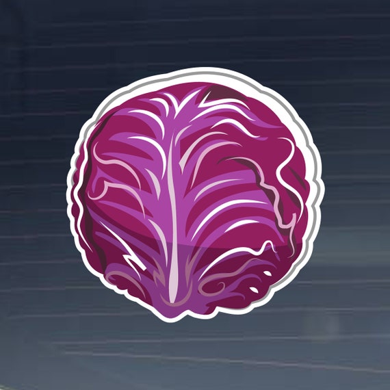 What Color Is Cabbage