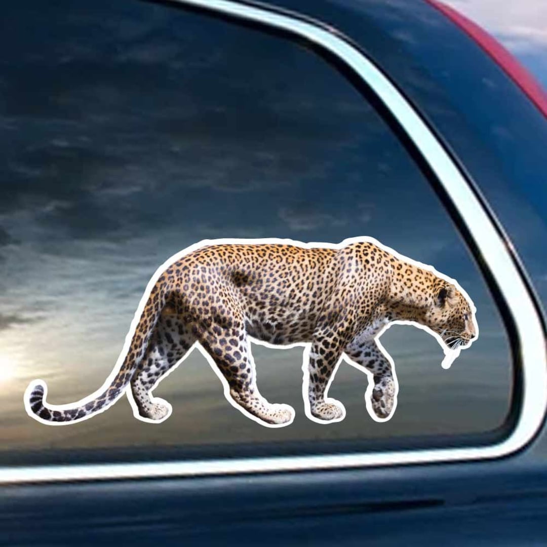 Jaguar - Vinyl Decal for Laptop, Windows, Glass and Cars Sticker - Etsy