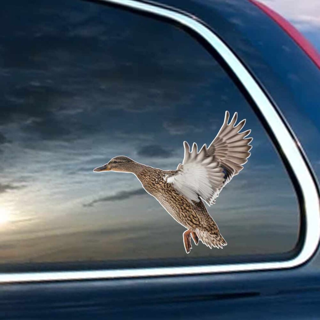 Flying Female Mallard Duck - Vinyl Decal for Laptop, Windows, Glass and ...