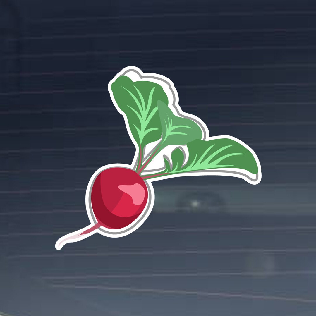 Radish Vegetable Full Color - Vinyl Decal for Laptop, Windows, Glass ...
