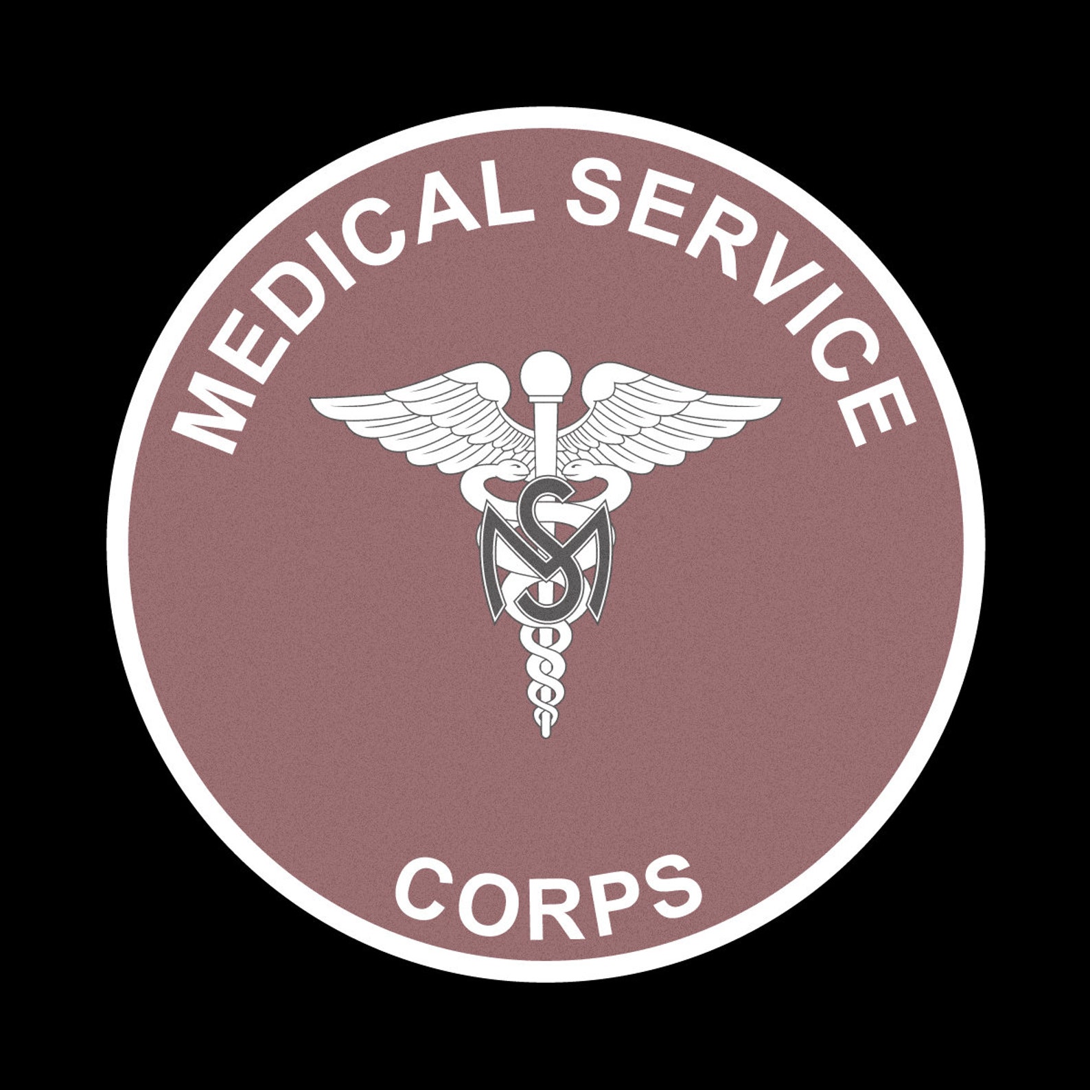 US Army Division - Medical Service Corps Plaque Reflective Indoor ...