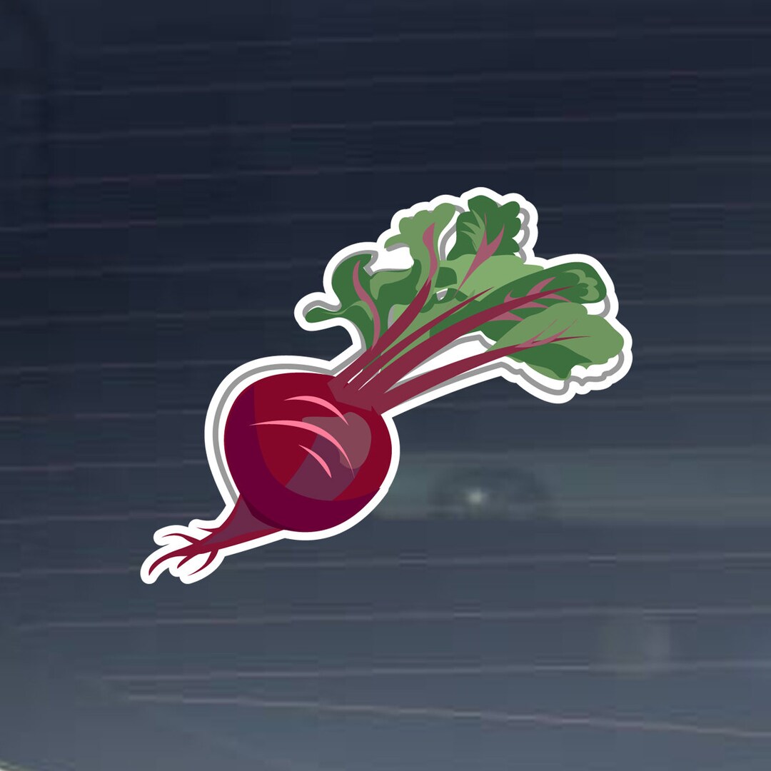 Beet Vegetable Full Color - Vinyl Decal for Laptop, Windows, Glass and ...