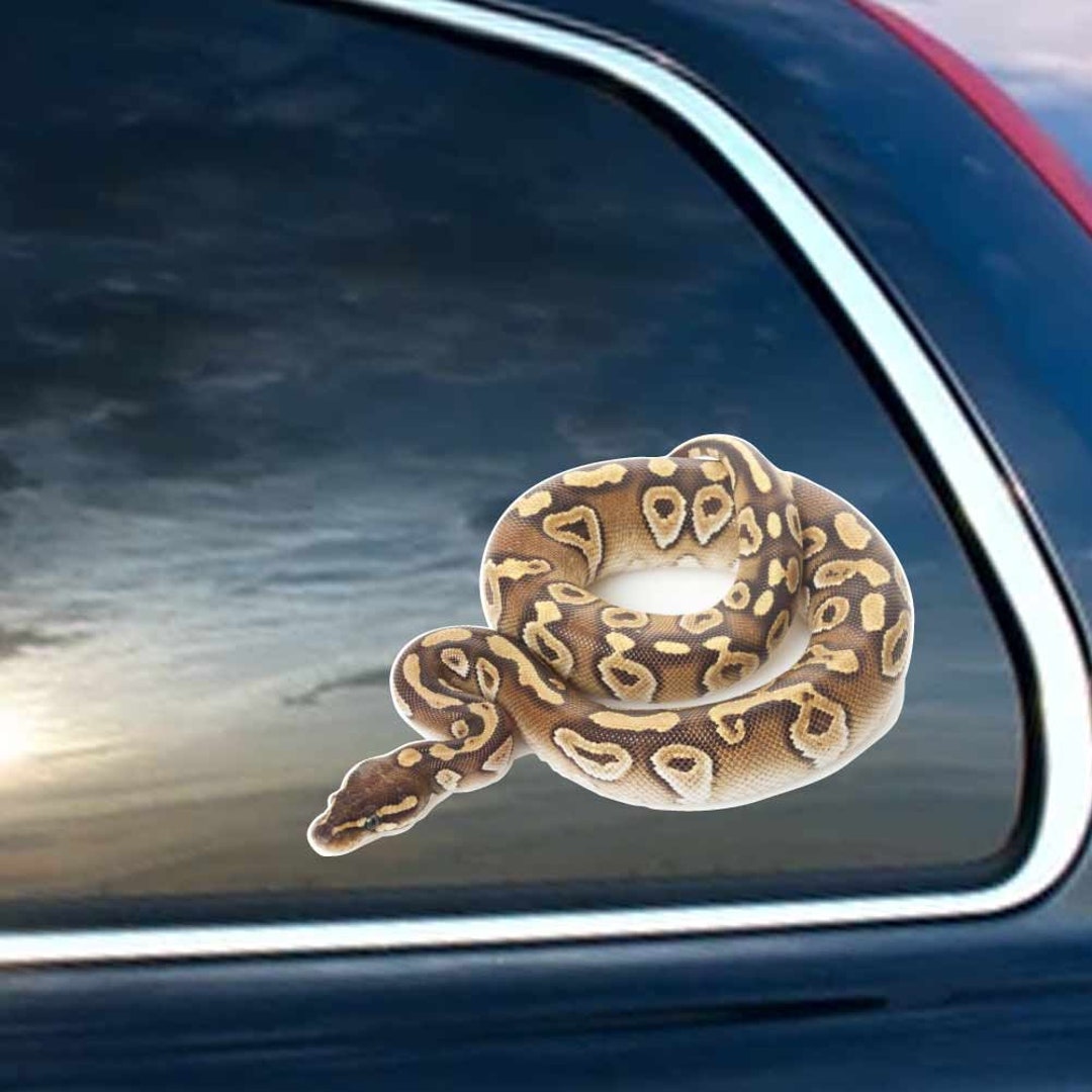 Mojava Ball Python - Vinyl Decal for Laptop, Windows, Glass and Cars ...