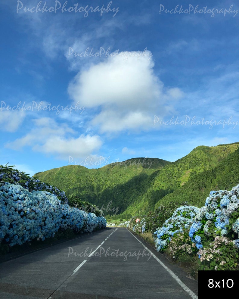 Hydrangea Road à Sete Cidades photo / puzzle à Sao Miguel - Etsy France