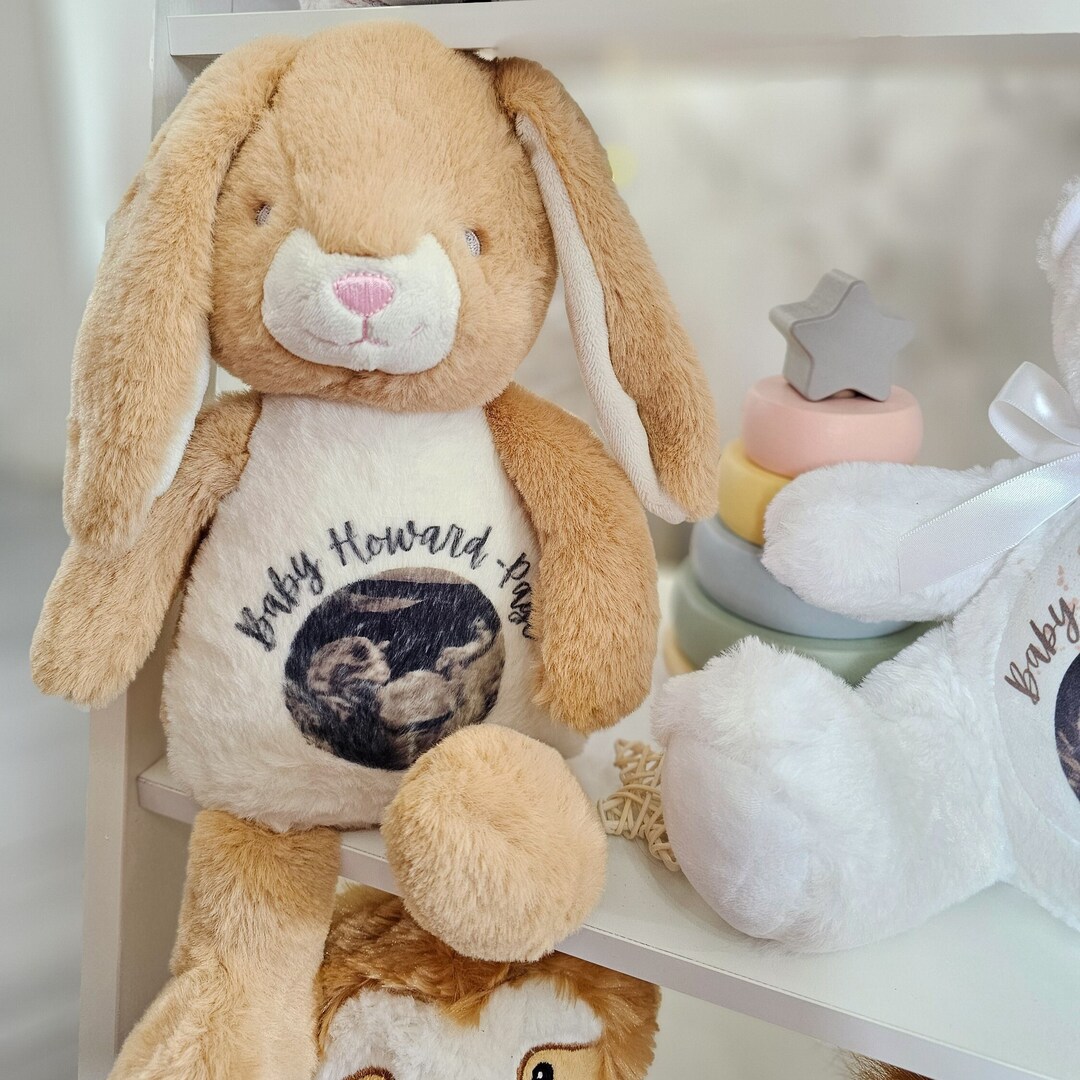 Personalised Teddy Bear, Baby Shower Gift, Baby Announcement, Pregnancy ...