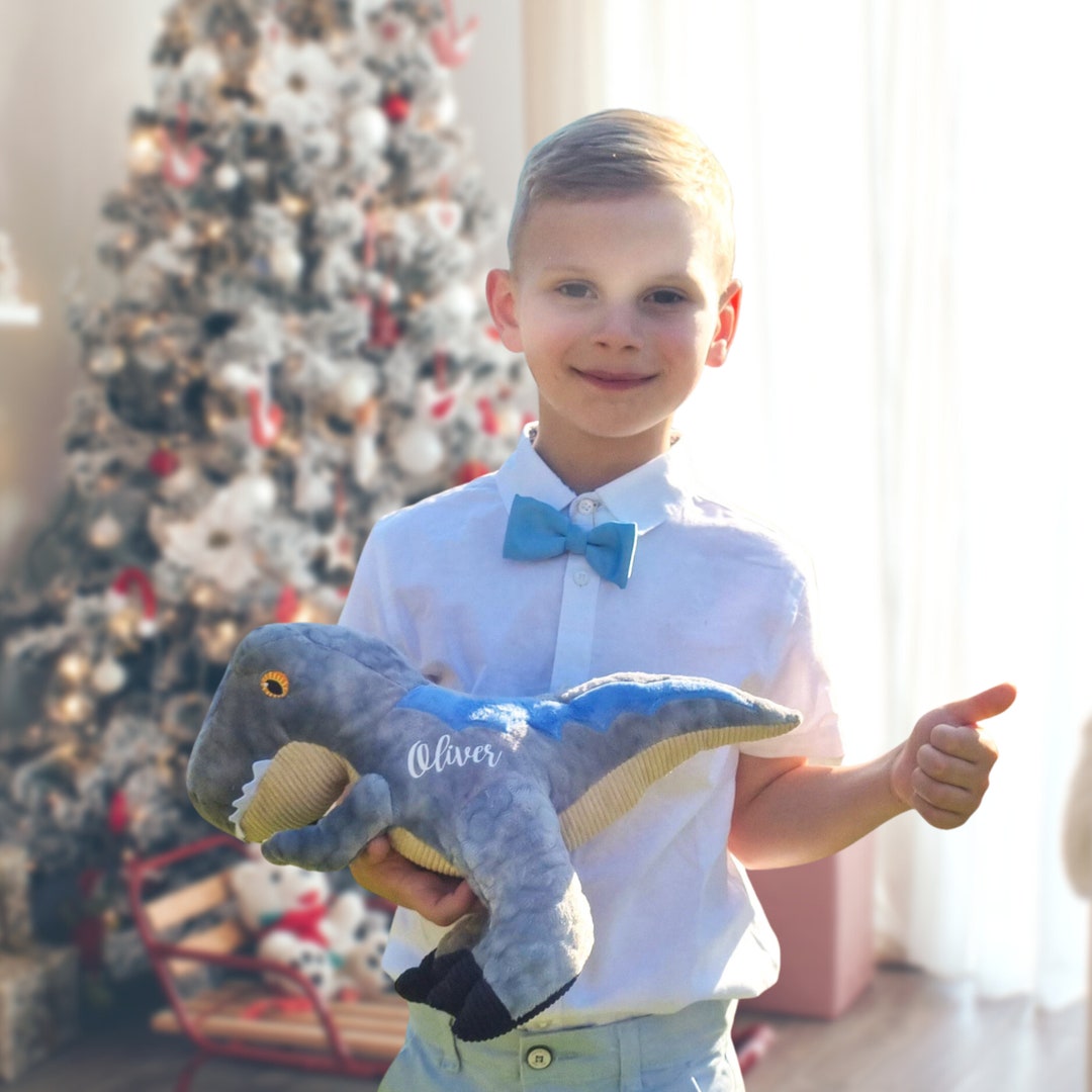 Personalised Gift, Gift for Kids, Personalised Soft Toy, Dinosaur Gift ...