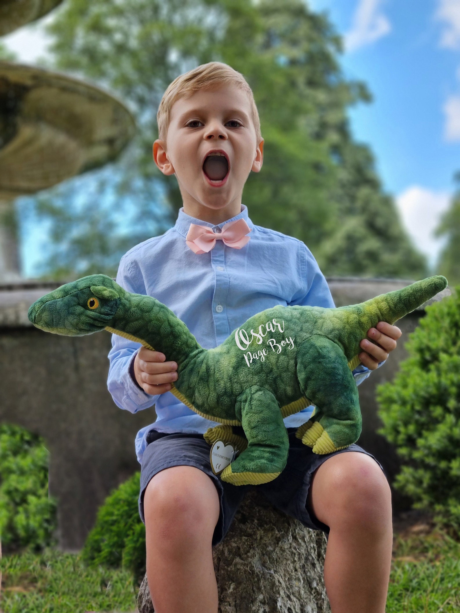 Page Boy Gift Dinosaur Gifts Ring Bearer Gift Personalised - Etsy UK