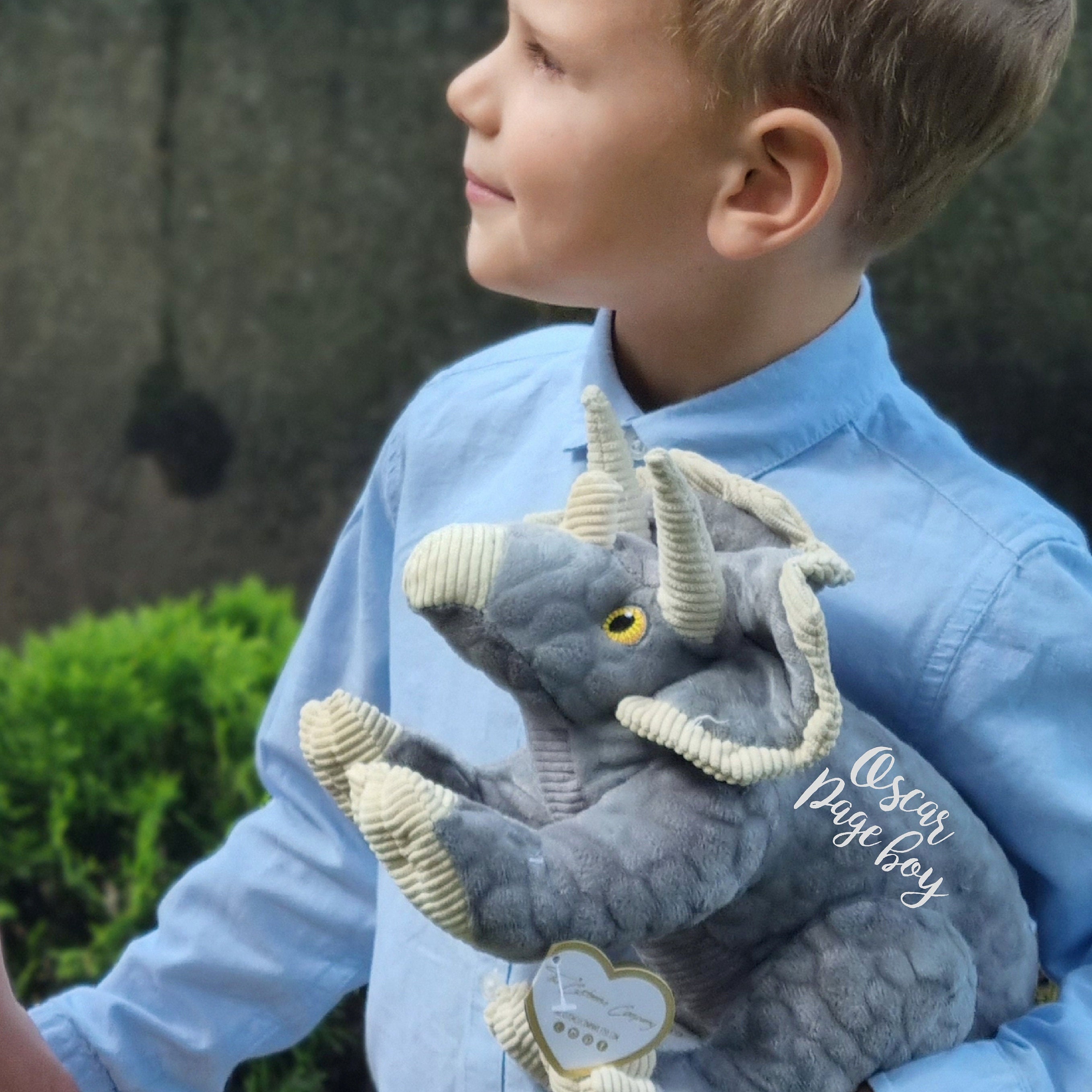 Page Boy Gift Ring Bearer Gift Personalised Gift Ring | Etsy UK