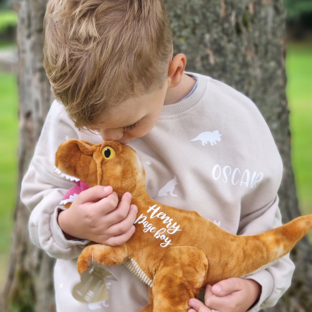 Dinosaur, Personalised Gifts, Eco Friendly, Dinosaur Birthday, Eco ...
