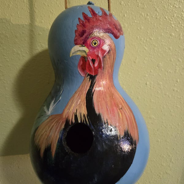 Gourd Chickens - Etsy