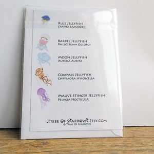 Bloom of Jellyfish Card - Etsy