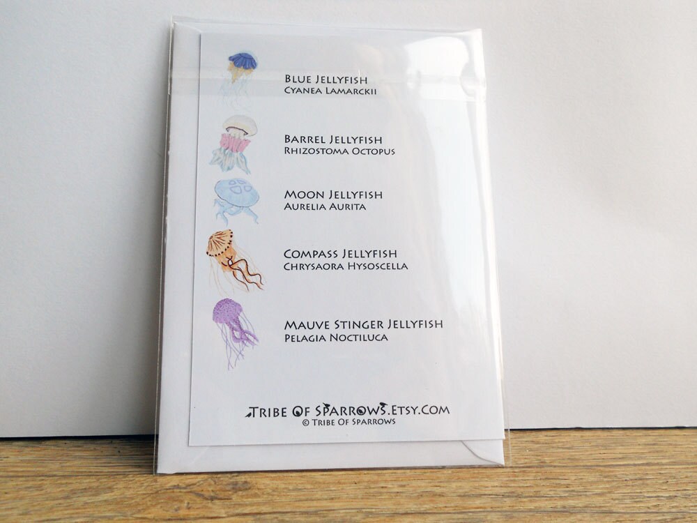Bloom of Jellyfish Card - Etsy