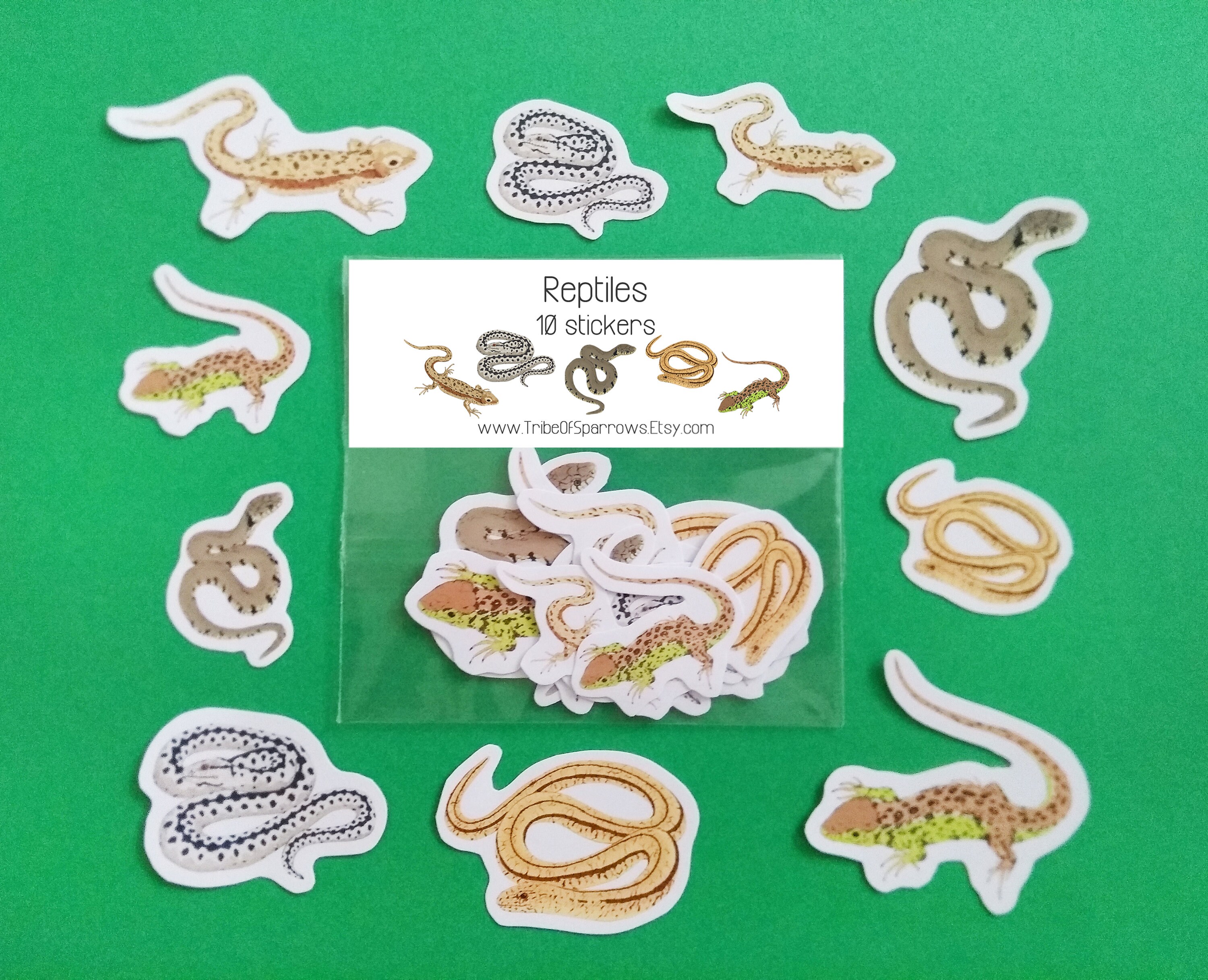 Reptile Stickers ten sticker flakes | Etsy